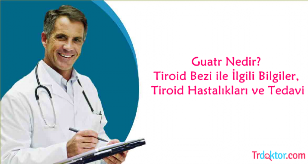 Guatr Nedir? Tiroid Bezi ile İlgili Bilgiler, Tiroid Hastalıkları ve ...